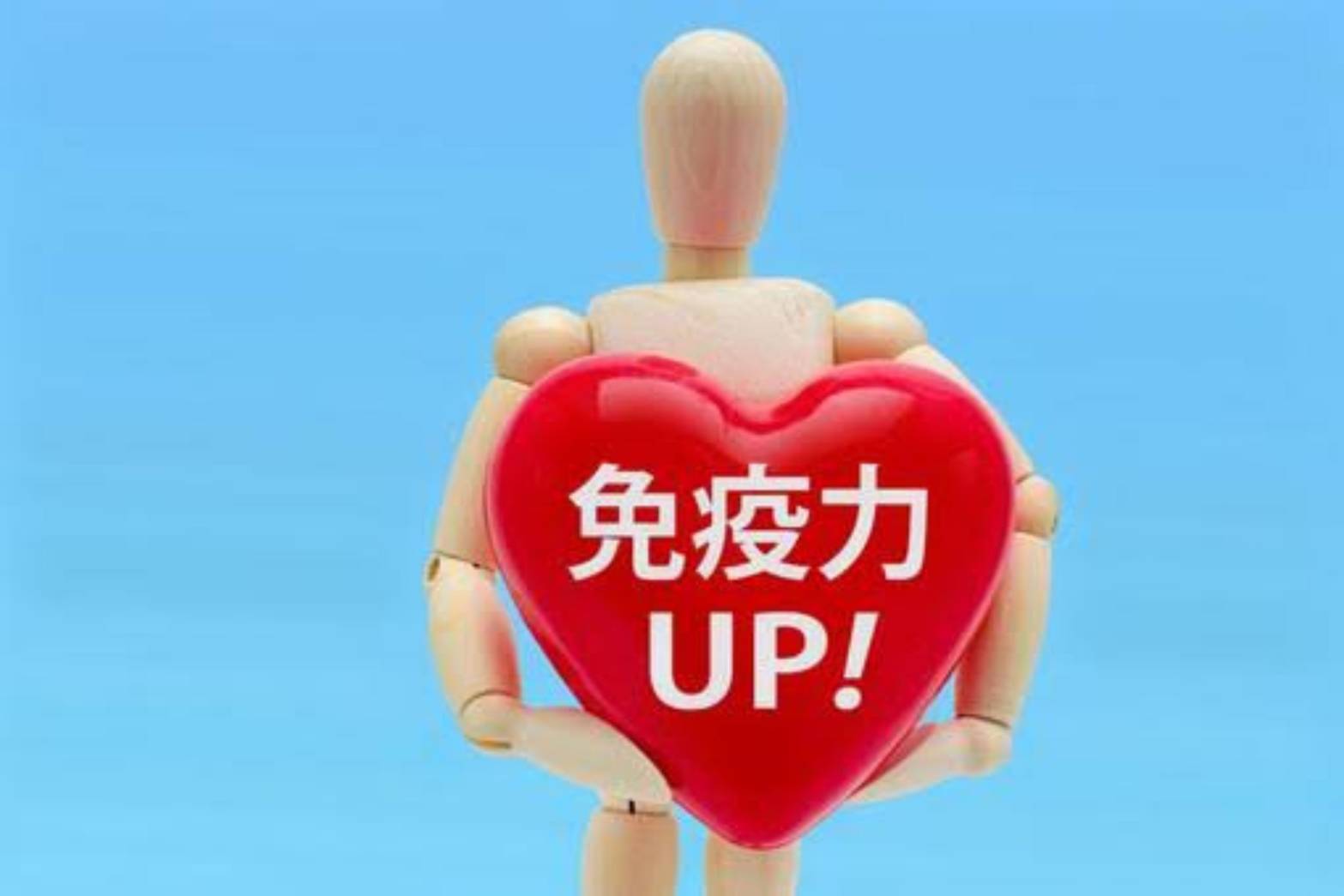 【スタッフ通信 vol.39】風邪予防とストレッチ - パーソナルストレッチ専門店 Snap Stretch